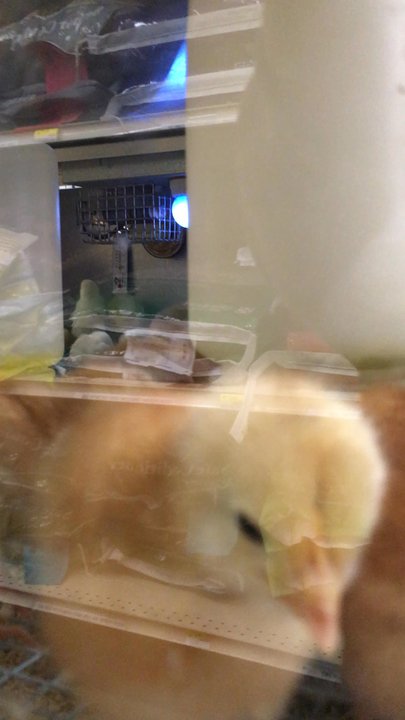 IFA COUNTRY STORE - DRAPER - Updated December 2025 - 66 Photos & 15 ...