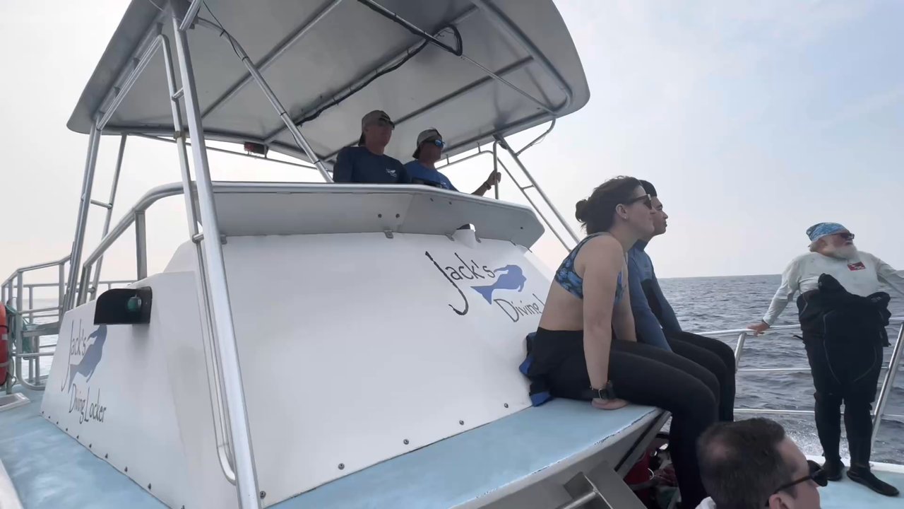 JACK’S DIVING LOCKER - Updated July 2025 - 264 Photos & 553 Reviews ...