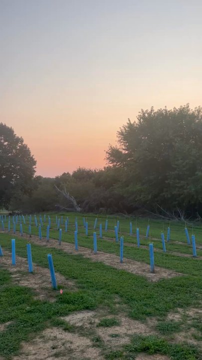 RHONEMUS CELLARS - Updated December 2025 - 34 Photos - 1151 George Rd ...