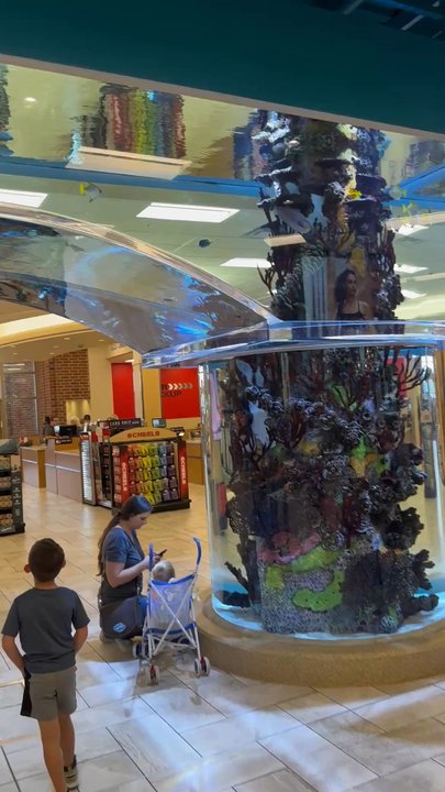 SCHEELS - Updated December 2025 - 204 Photos & 118 Reviews - 1226 ...