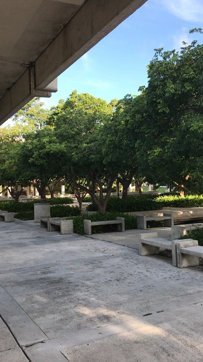 MIAMI DADE COLLEGE KENDALL CAMPUS - Updated December 2025 - 155 Photos ...