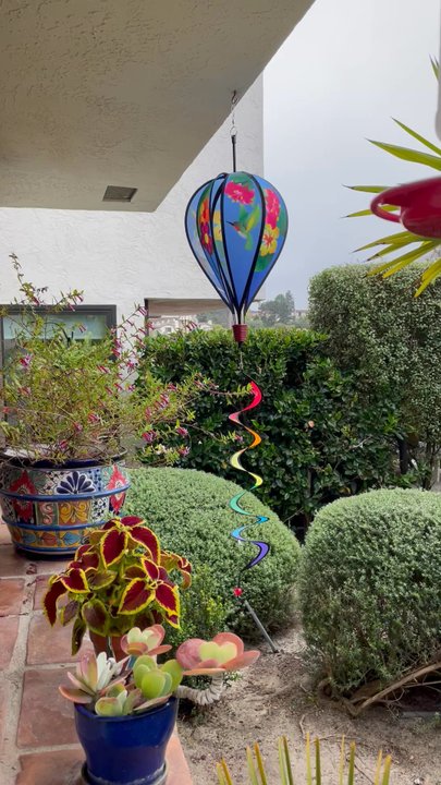 CALIFORNIA BACKYARD BIRDS, INC - Updated July 2025 - 22 Photos & 40 ...