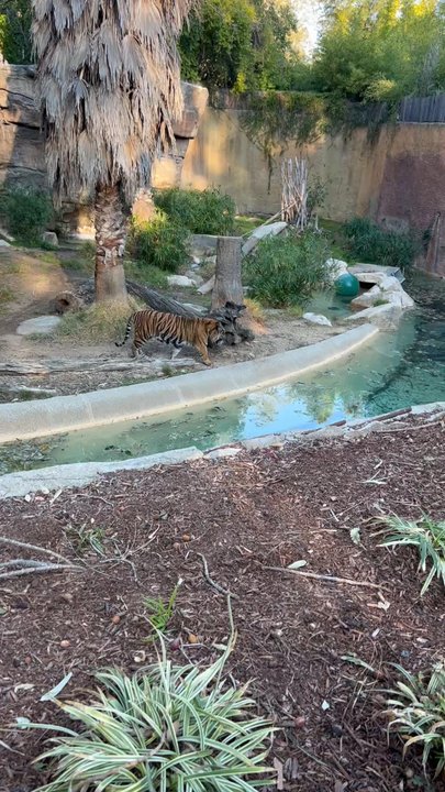 LOS ANGELES ZOO AND BOTANICAL GARDEN - Updated March 2025 - 7684 Photos & 2014 Reviews - 5333 ...