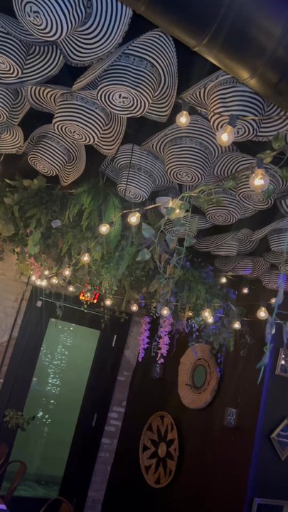 LULO KITCHEN - Updated July 2025 - 205 Photos & 125 Reviews - 1273 W ...