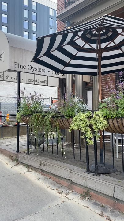 TEMPEST OYSTER BAR - Updated February 2025 - 533 Photos & 430 Reviews ...