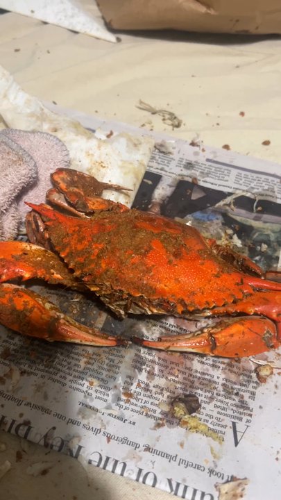 CAPTAIN PELL’S FAIRFAX CRABHOUSE - Updated May 2025 - 496 Photos & 730 ...