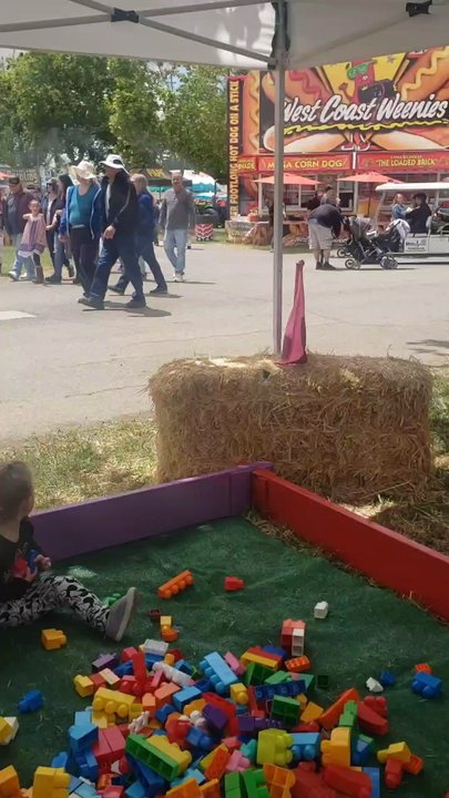 DIXON MAY FAIR - Updated June 2026 - 202 Photos & 35 Reviews - 655 S ...