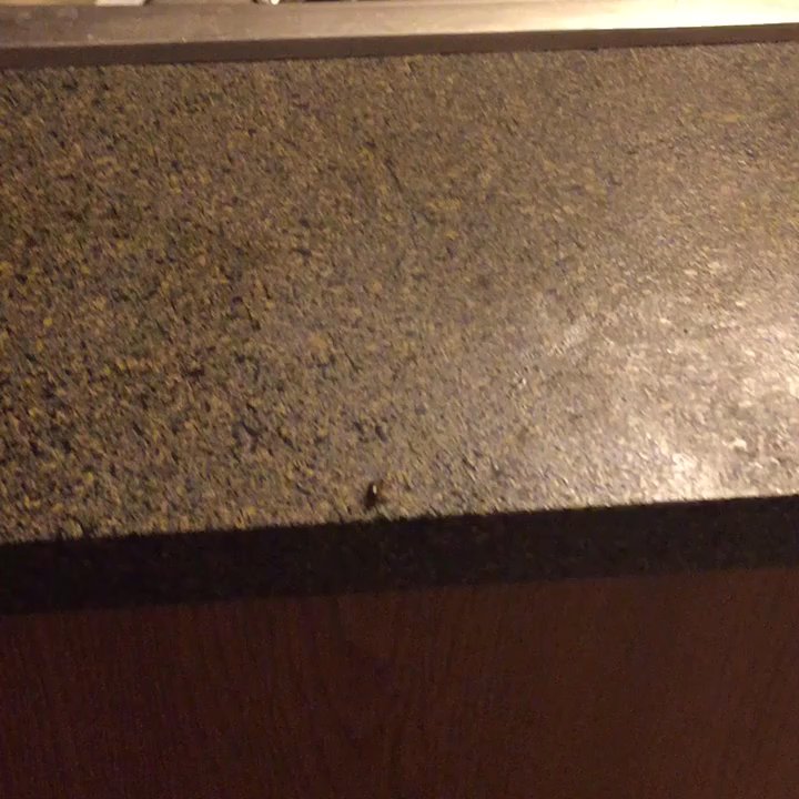 BURNS PEST ELIMINATION - Updated December 2025 - 81 Photos & 194 ...