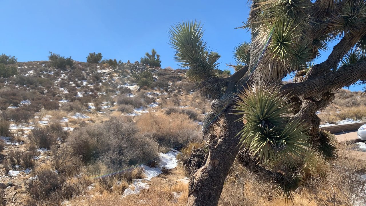 KEYS VIEW - Updated December 2025 - 361 Photos & 29 Reviews - Joshua ...