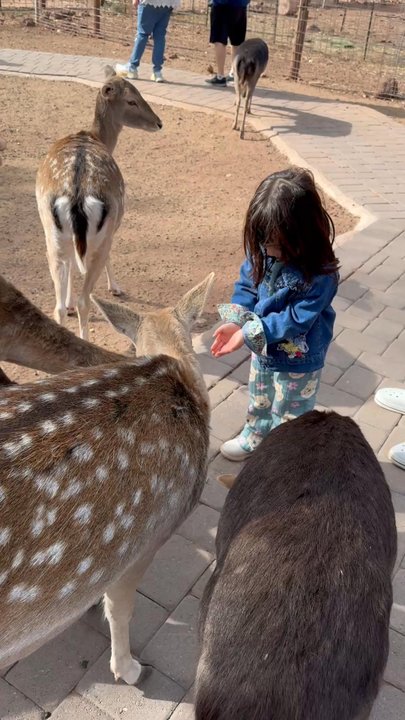 GRAND CANYON DEER FARM - Updated March 2026 - 864 Photos & 325 Reviews ...