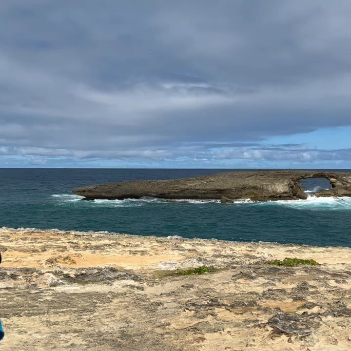 LAIE POINT - Updated December 2025 - 817 Photos & 141 Reviews - Naupaka ...