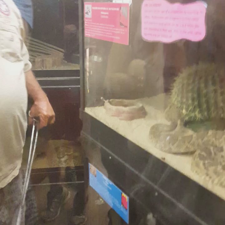 WHITE TANK LIBRARY - Updated December 2025 - 104 Photos & 43 Reviews ...