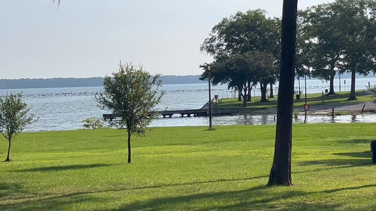 ALEXANDER DEUSSEN PARK - Updated December 2025 - 147 Photos & 57 ...