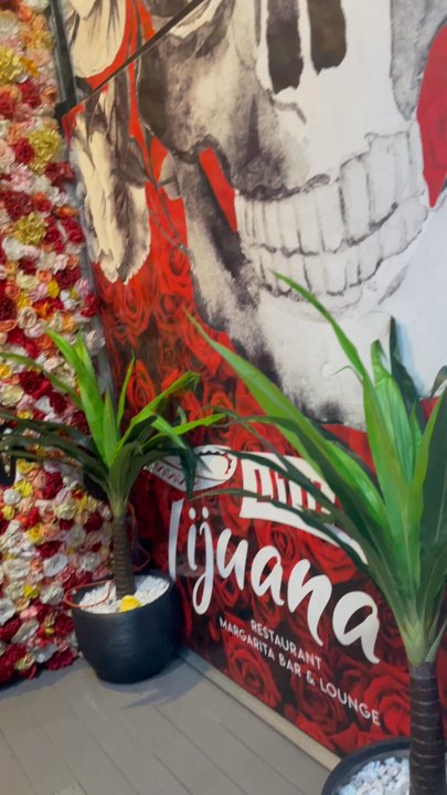 LITTLE TIJUANA - Updated October 2025 - 648 Photos & 418 Reviews - 538 ...