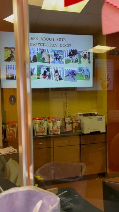 STANISLAUS ANIMAL SERVICES AGENCY - Updated October 2025 - 70 Photos ...