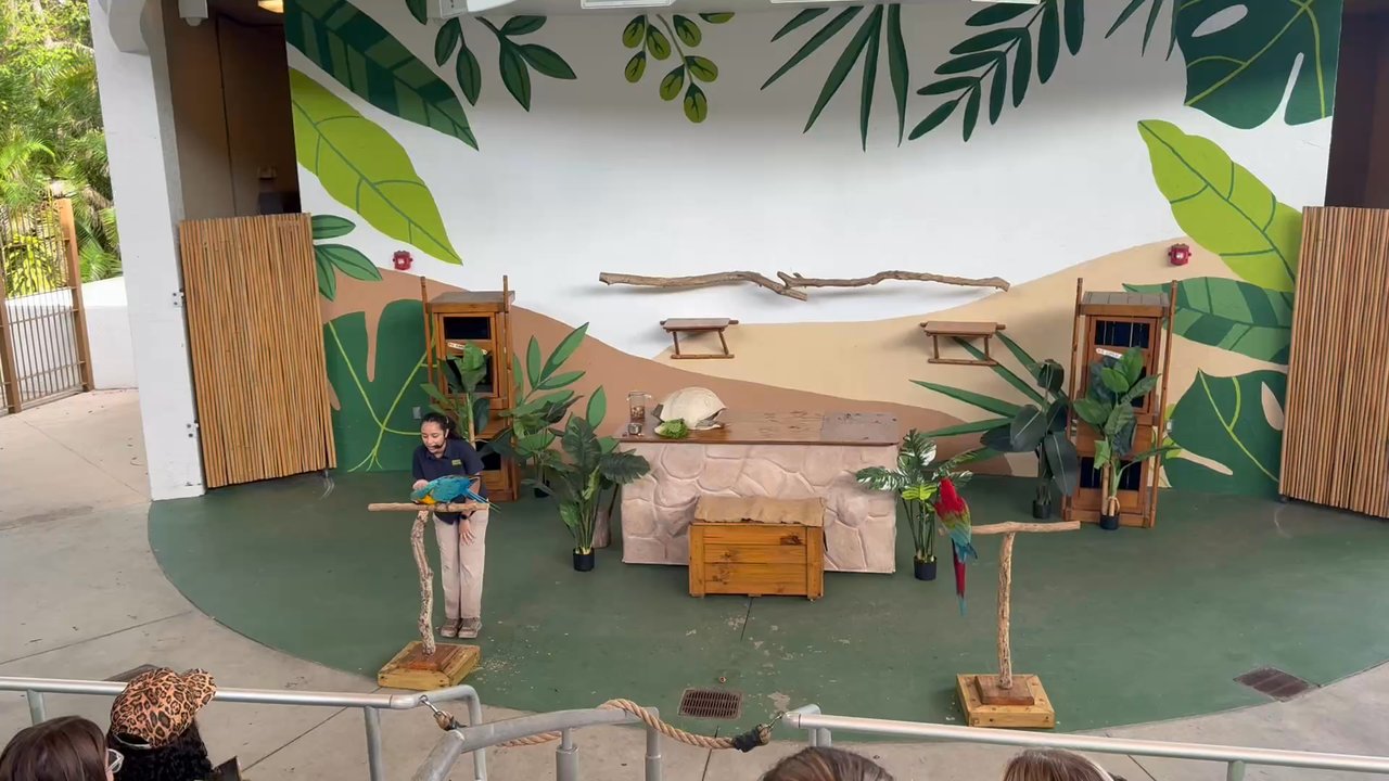 JUNGLE ISLAND - Updated May 2026 - 1341 Photos & 551 Reviews - 1111 ...