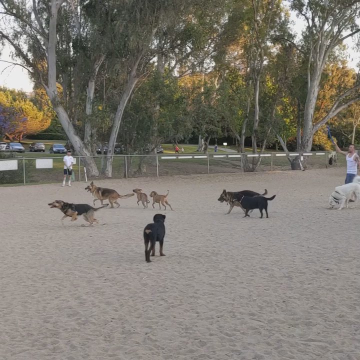 CANINE CORNERS DOG PARK - Updated June 2026 - 52 Photos & 10 Reviews ...