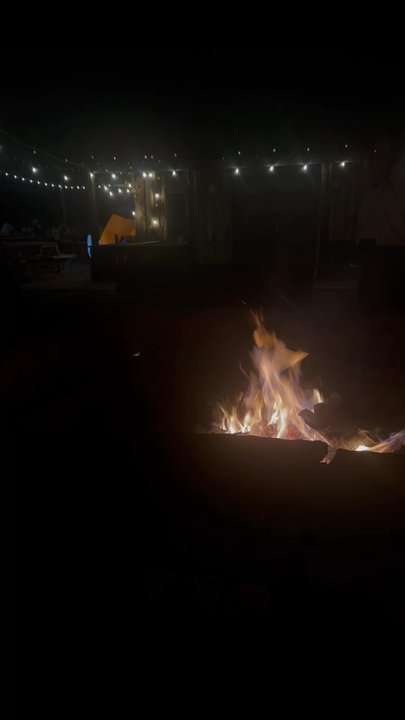 CHICKEN SHACK - Updated March 2025 - 136 Photos & 142 Reviews - 212 Hwy ...