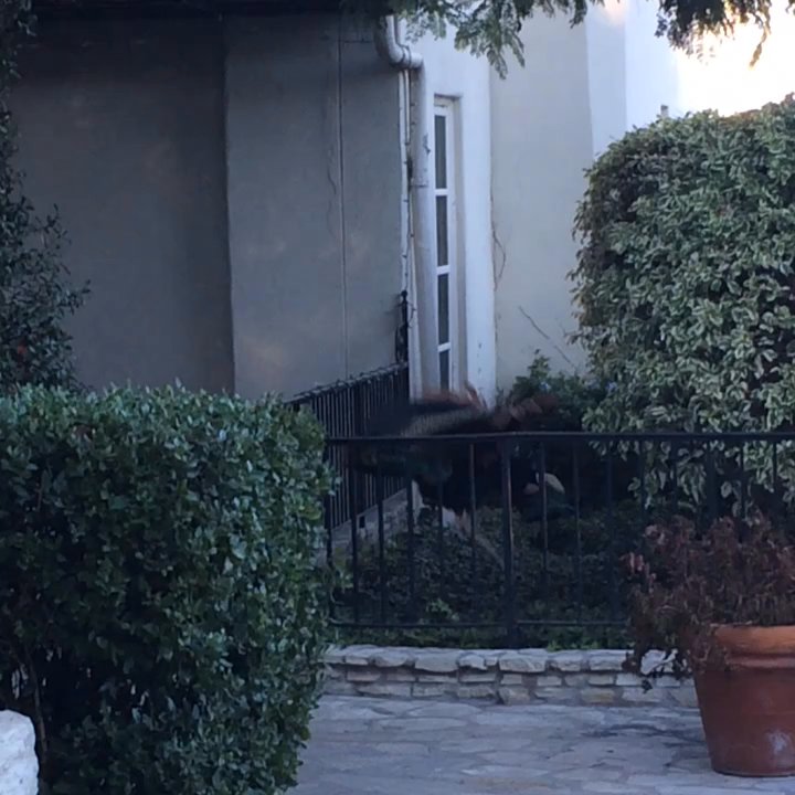 MALAGA COVE LIBRARY - Updated December 2025 - 150 Photos & 35 Reviews ...