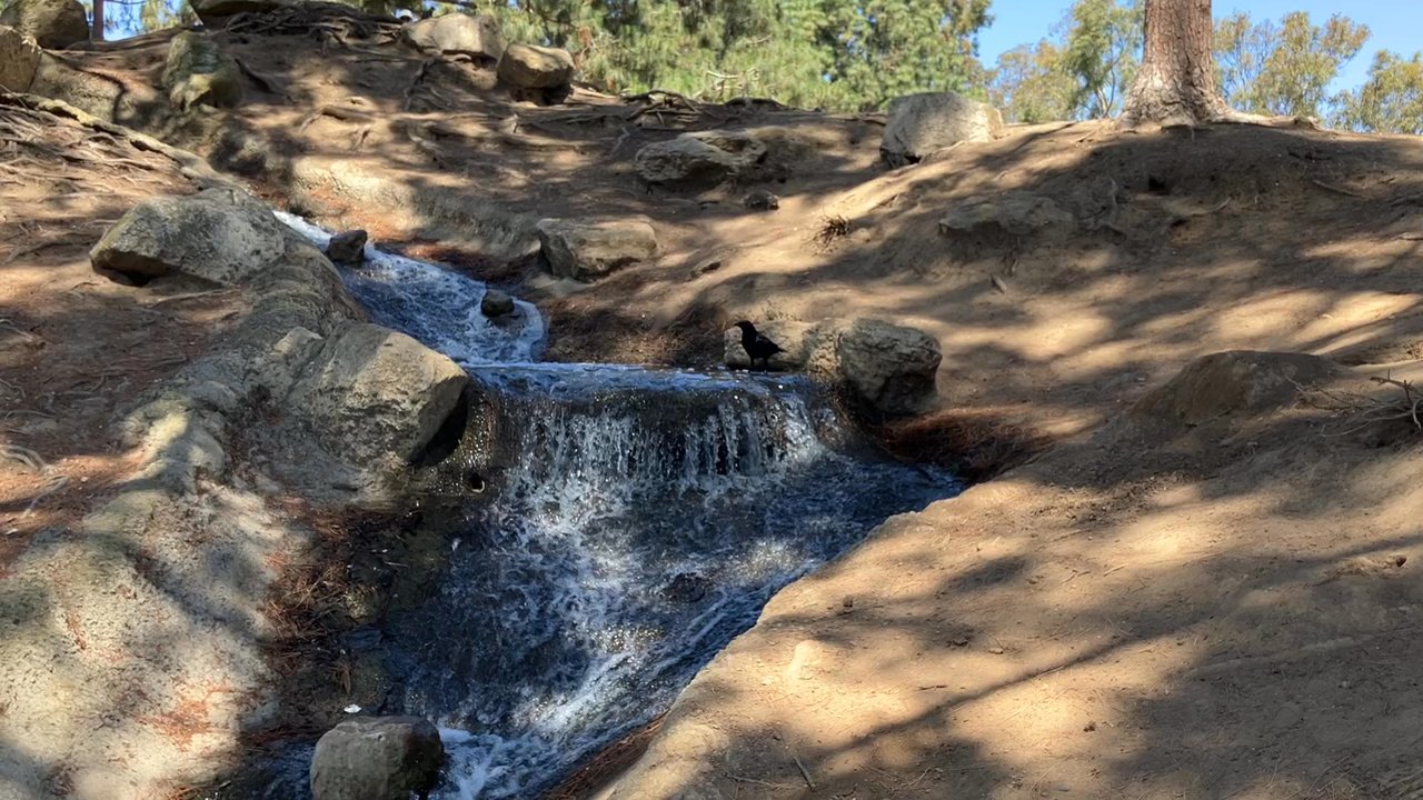 TEWINKLE PARK - Updated June 2025 - 440 Photos & 123 Reviews - 970 ...