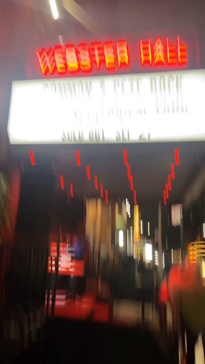 WEBSTER HALL - Updated December 2025 - 484 Photos & 1013 Reviews - 125 ...