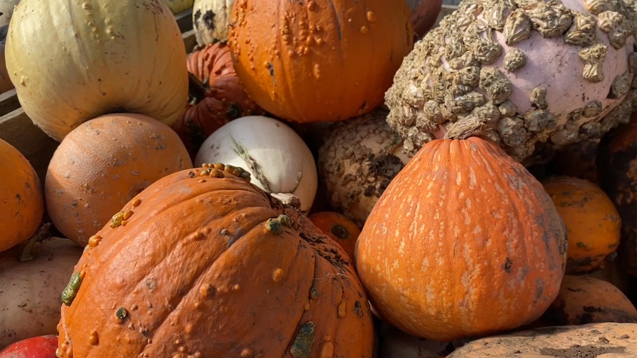 EZ Orchards Farm Market - Cheap - Fruits & Veggies - Updated June 2025 ...