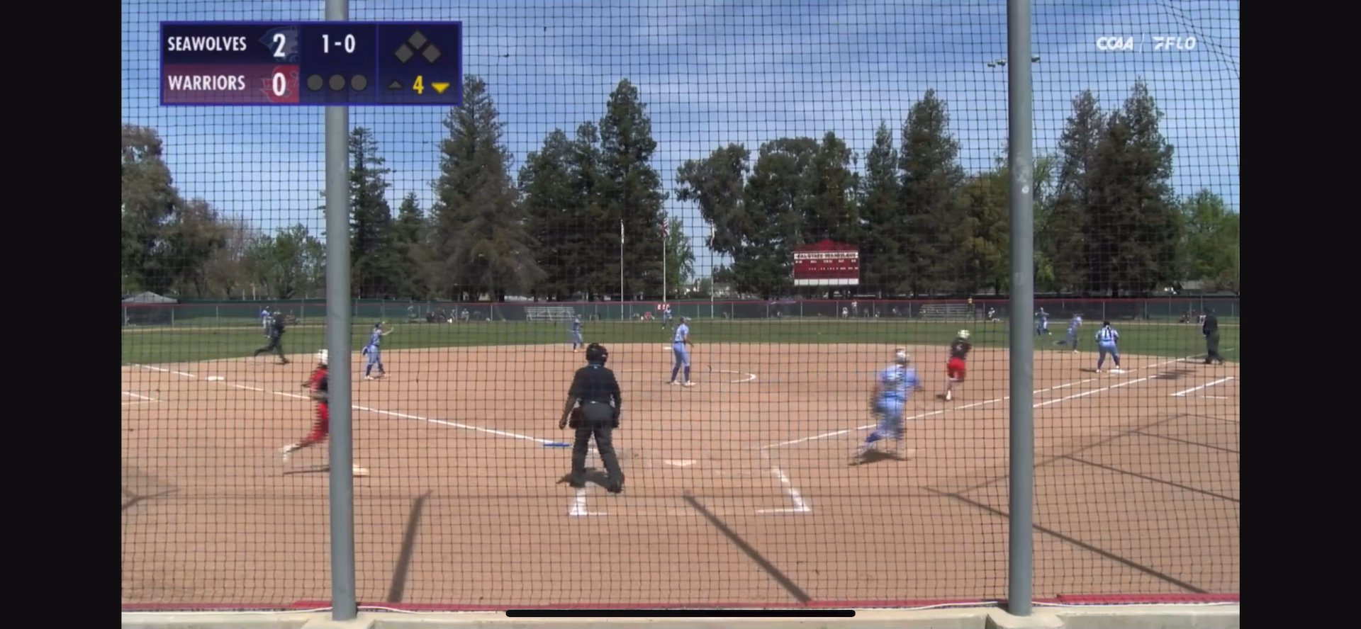 Softball Transfer portal announcements | FieldLevel