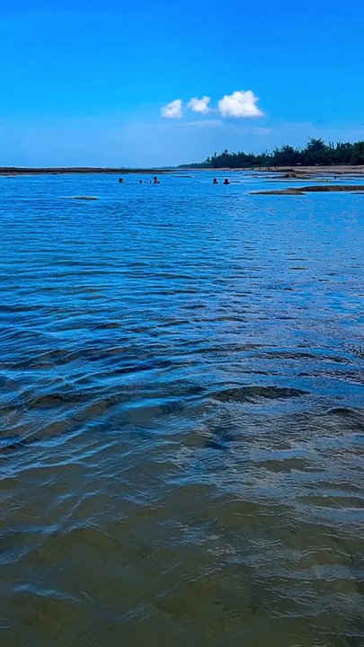 PIÑONES - Updated December 2025 - 164 Photos & 81 Reviews - Campamento ...