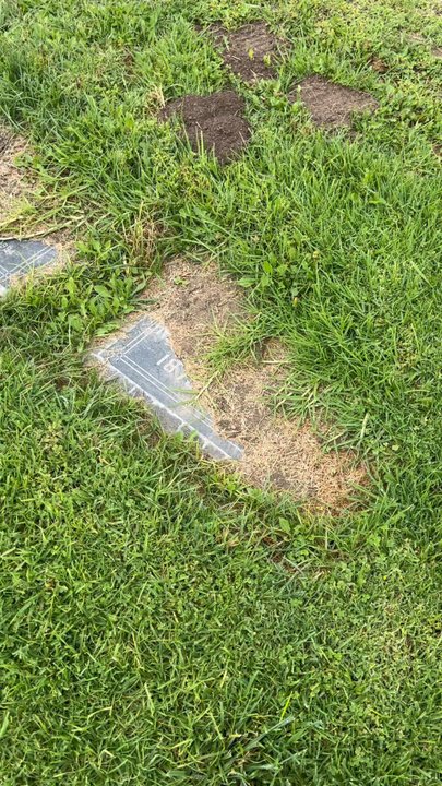 MONTECITO MEMORIAL PARK AND MORTUARY - Updated March 2026 - 215 Photos ...