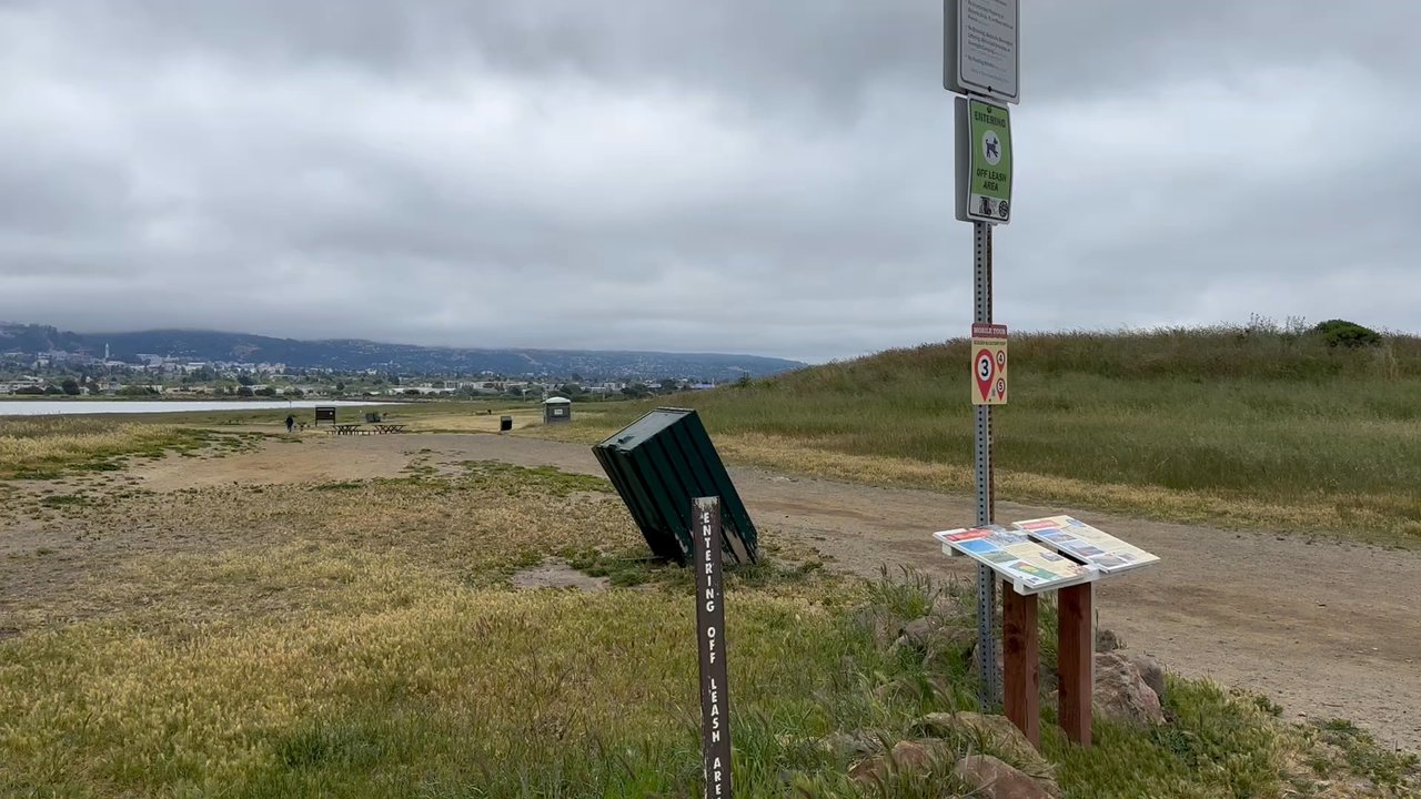 CESAR CHAVEZ PARK - Updated July 2025 - 537 Photos & 180 Reviews - 11 ...