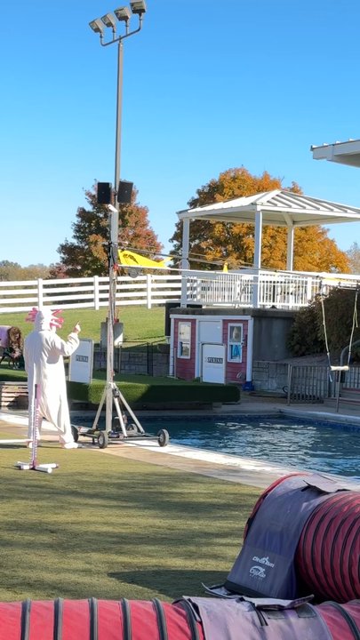 PURINA FARMS - TEMP. CLOSED - Updated August 2025 - 161 Photos & 54 ...