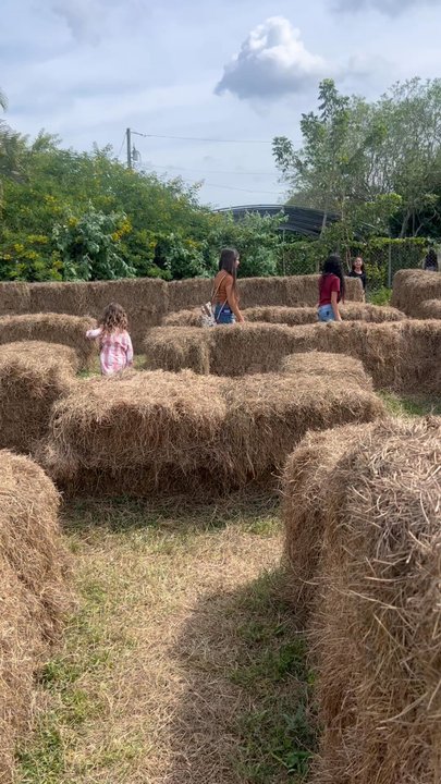 THE LITTLE FARM - Updated December 2025 - 172 Photos & 68 Reviews ...