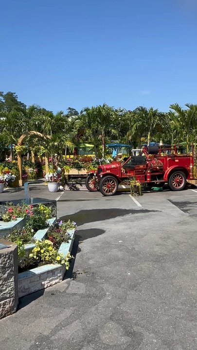 BELLO POULTRY MARKET - Updated August 2025 - 173 Photos & 39 Reviews ...