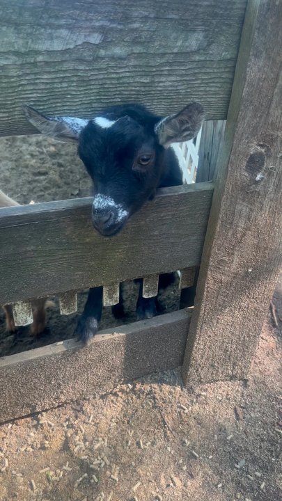 SMILING HILL FARM - Updated September 2025 - 177 Photos & 69 Reviews ...