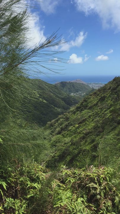 PALOLO VALLEY - Updated December 2025 - 72 Photos & 12 Reviews ...