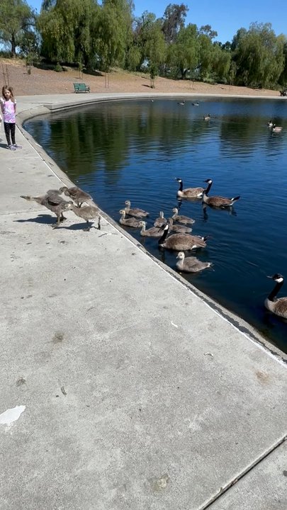 THE GARDENS AT HEATHER FARM - Updated January 2026 - 489 Photos & 102 ...