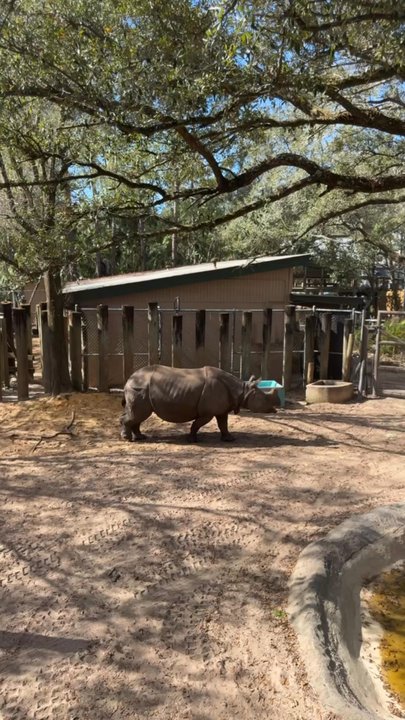 ZOOTAMPA AT LOWRY PARK - Updated December 2025 - 2386 Photos & 689 ...