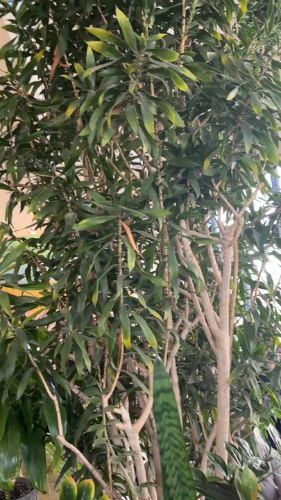 OUTTA THE BLUE CAFE - Updated July 2025 - 229 Photos & 137 Reviews ...