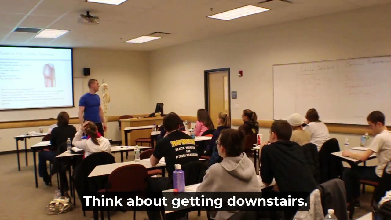 Functional Anatomy - Brookbush Institute