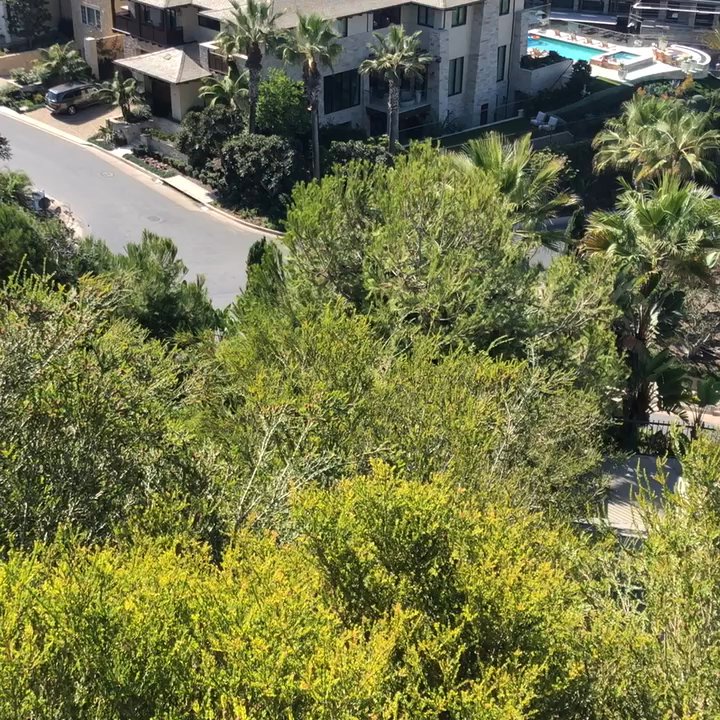 DANA STRAND BEACH - Updated August 2025 - 443 Photos & 112 Reviews ...