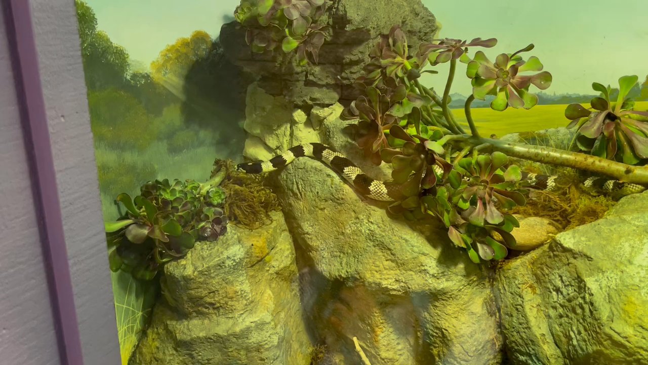 CURIODYSSEY - Updated June 2025 - 889 Photos & 352 Reviews - 1651 ...