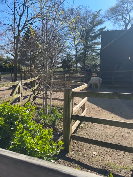 QUEENS ZOO - Updated June 2026 - 1132 Photos & 225 Reviews - 5351 111th ...