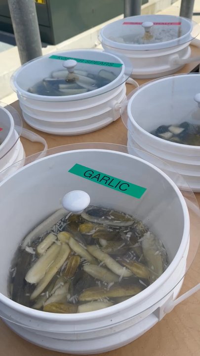 PORTER RANCH FARMERS MARKET - Updated December 2025 - 200 Photos & 23 ...