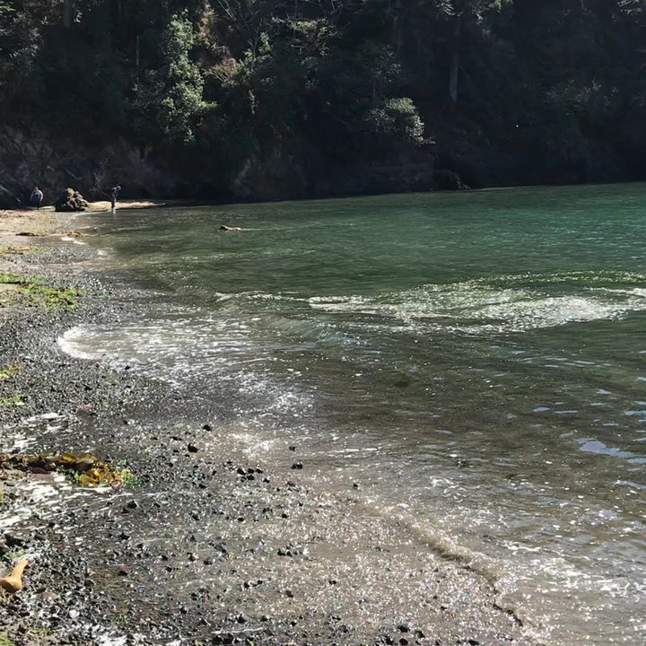 RUSSIAN GULCH STATE PARK - Updated February 2026 - 607 Photos & 120 ...