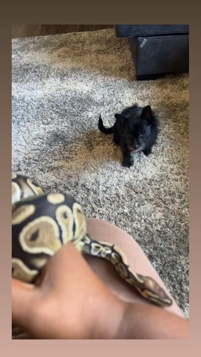 EAST BAY VIVARIUM - Updated December 2025 - 726 Photos & 618 Reviews ...