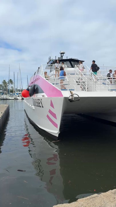 PINK SAILS WAIKIKI - Updated October 2025 - 1004 Photos & 728 Reviews ...