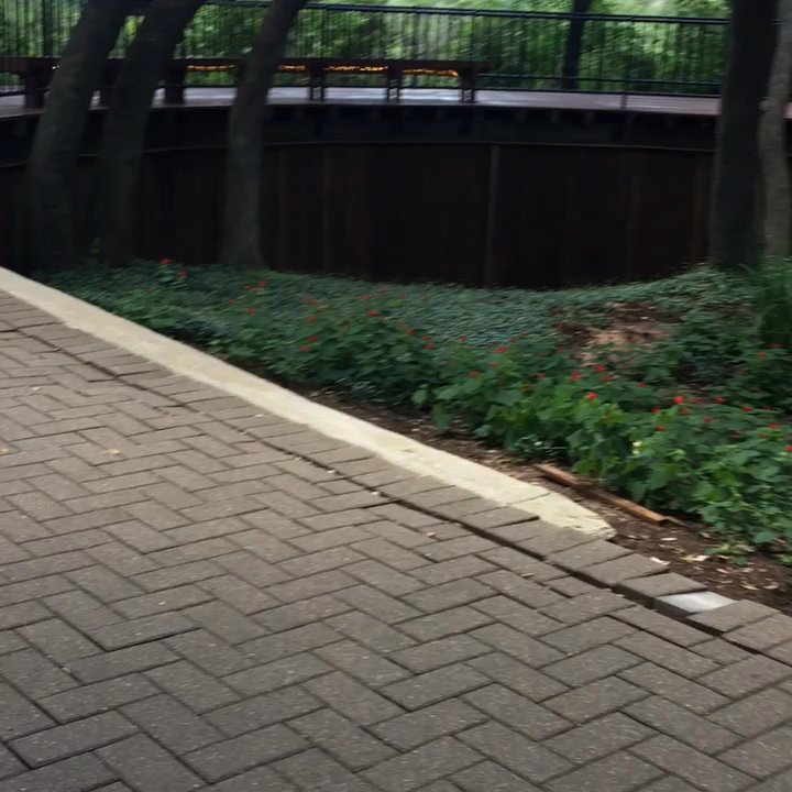 THE ARBORETUM - Updated January 2026 - 75 Photos & 34 Reviews - 10000 ...