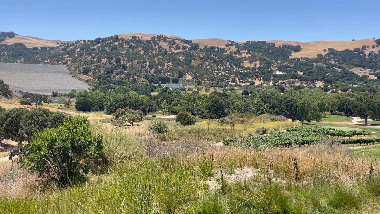 THE COURSE AT WENTE VINEYARDS - Updated July 2025 - 133 Photos & 177 ...