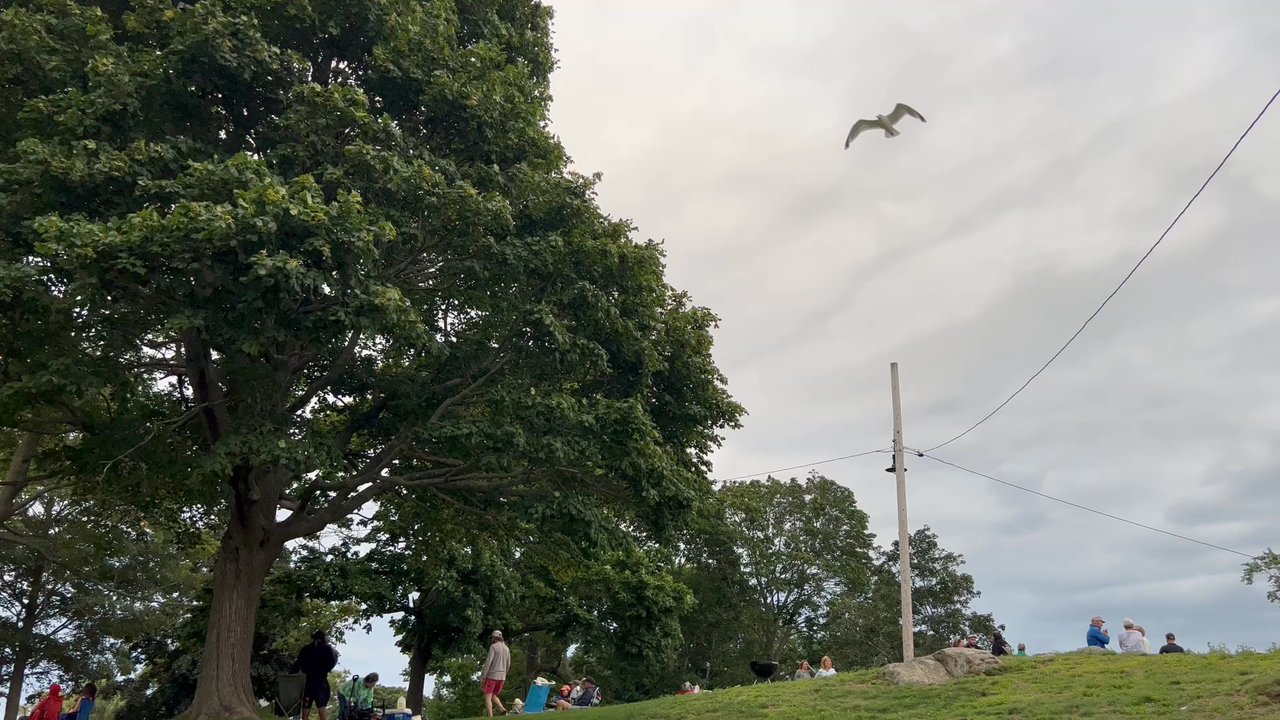 SALEM WILLOWS PARK - Updated June 2026 - 151 Photos & 49 Reviews - 167 ...